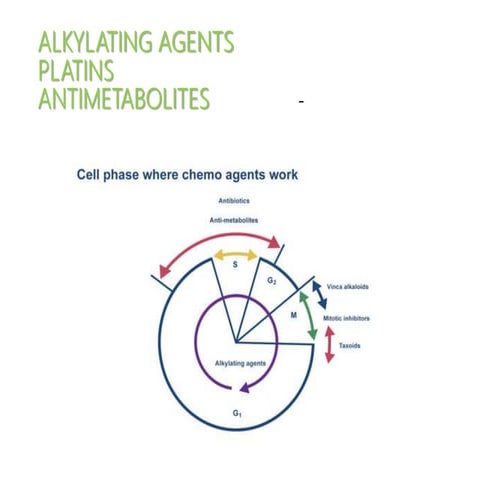 Chapter 21 alkylating agents,platins,antimetabolites | PPTX