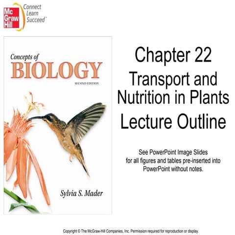 Bio 100 Chapter 22 | PPT