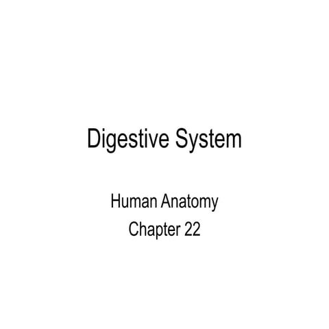 Grade 8 - Digestive System | PPT