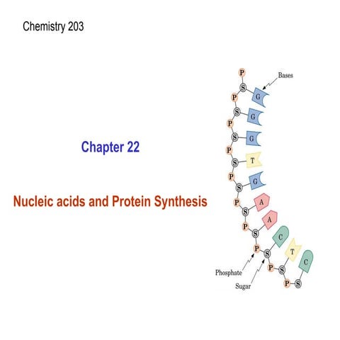 Chapter 22 Nucleic acids and Protein synthesis [Autosaved].ppt