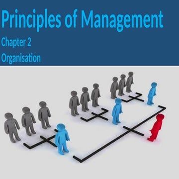 Principles of Management: Organizations. | PPTX