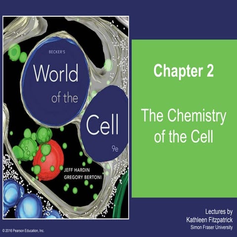 The Chemistry Of The Cell | PPT