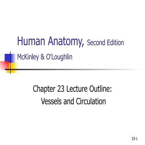 Chapter 23, f 09 | PPT