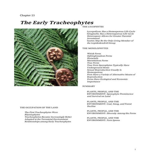 Treacheophytes | PDF