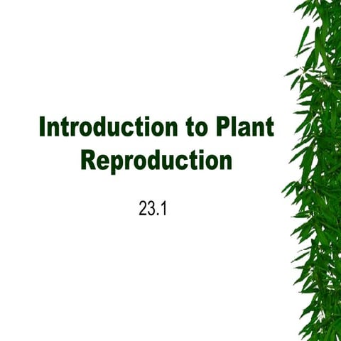 Chapter 23 Plant Reproduction.ppt