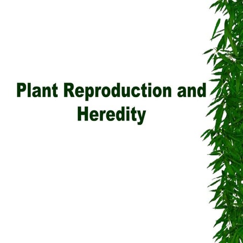 Plant and Animal Reproduction.ppt