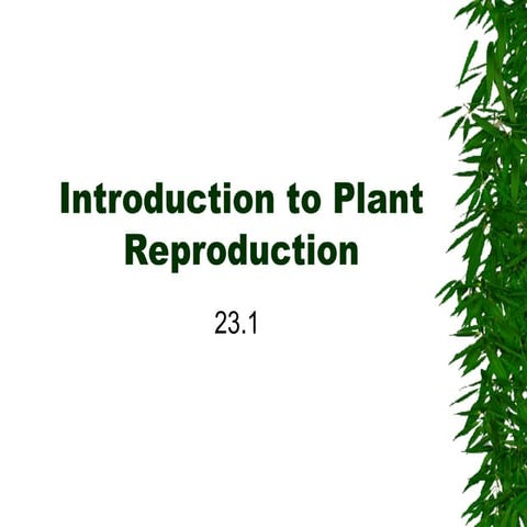 Plant Reproduction (2).ppt chapter 22 bot | PPT
