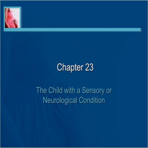 Chapter 23 Power Point | PPT