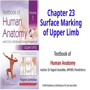 Blood vessels of Upper Limb.pptx