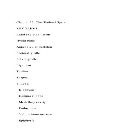 chapter-23-the-skeletal-systemkey-termsaxial-skeleton-v-docx