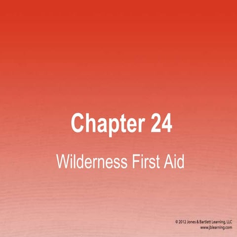 Chapter 24 Wilderness First Aid | PPTX