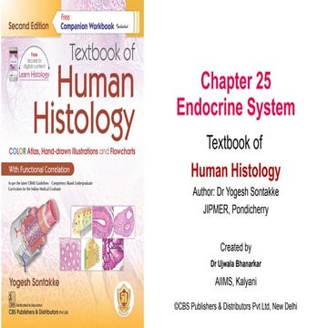 Chapter 25-Endocrine System by MMC .pptx
