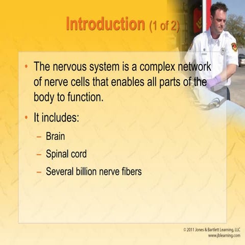 Chapter_26 Nervous System Parts and Functions .ppt