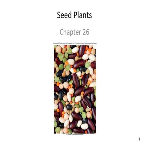Chapter 26 Lecture Presentation Ppt 7044