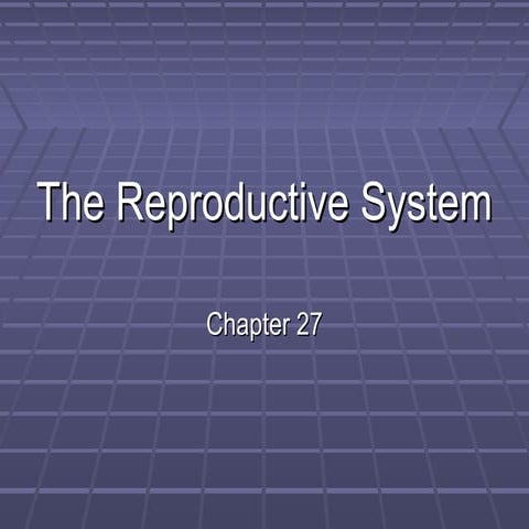 reproductive system | PPT | Infertility | Reproductive Health