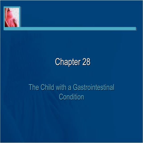 Chapter 28 Power Point | PPT