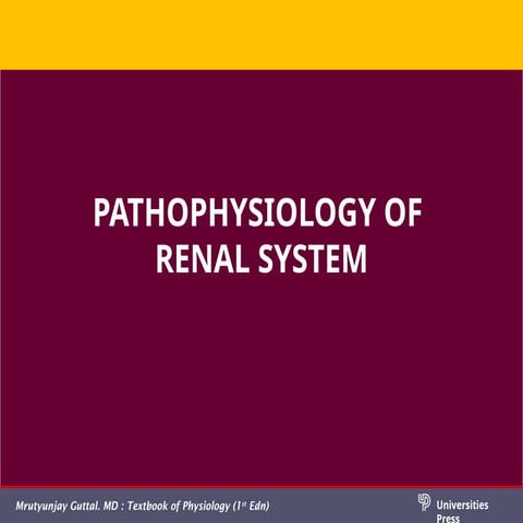 Chapter29 Overview of Renal System OF MEDICAL STUDENTS.ppt