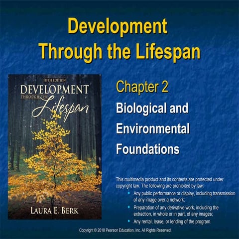 Chapter 2,berk.doc (1) | PPT
