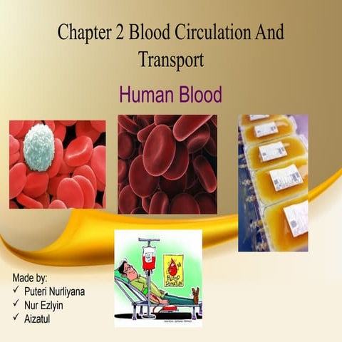 Chapter 2 blood circulation and transport | PPT