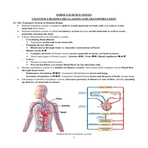 Transportation System In Human Body