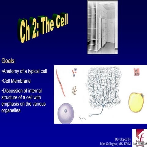 Chapter2 cellmarieb | PDF