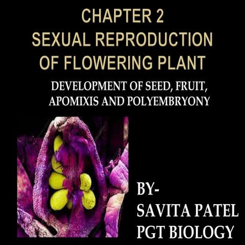 Sexual Reproduction in Flowering Plants | PPTX