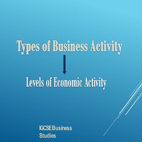 Chapter 2 Classification of Business IGCSE | PPTX