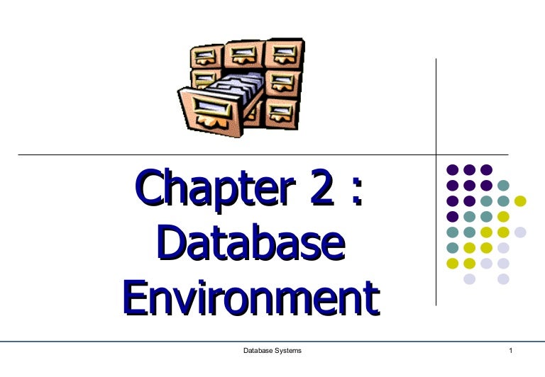 Chapter 2 Database Environment 