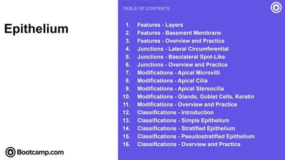 Lesson 4 Cell Modifications | PDF | Biological Sciences | Science