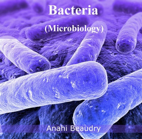 Gram positive bacteria | PPT