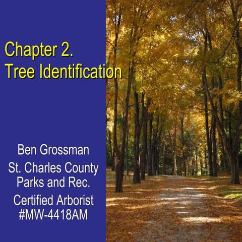 Chapter 2 identification | PPT