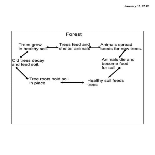 Social studies chapter 2 lesson 1 | PDF