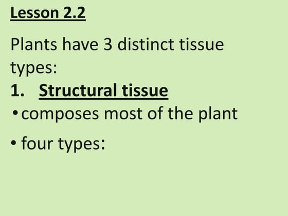 Powerpoint plant parts for science gr 5 | PPT