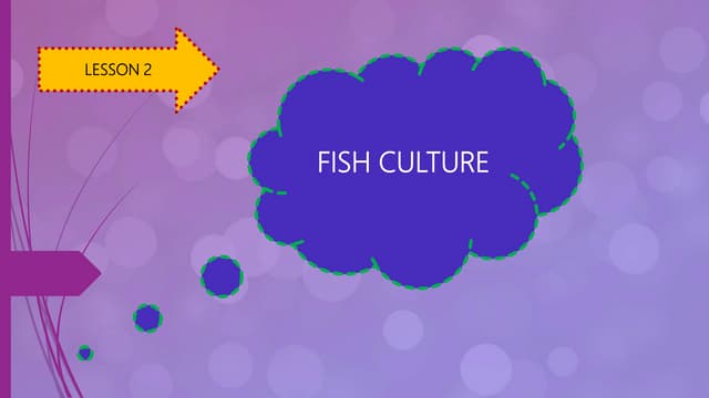 Lesson 2 fish culture | PPTX