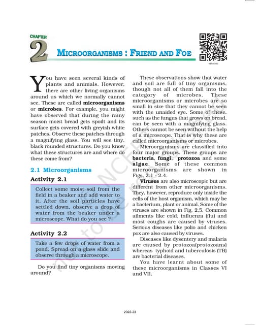 Microorganisms Class 8 | PPT