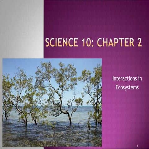 Chapter 2 Slides Ppt 