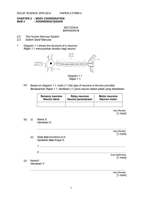 Chapter 2 paper 1 | DOC