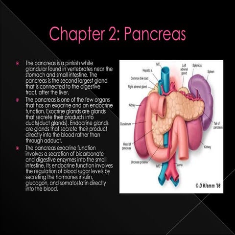 Chapter2 presentation | PPTX