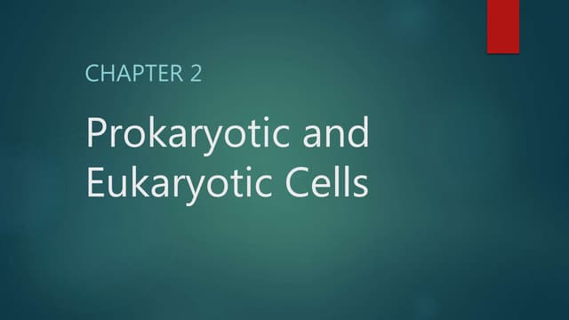 Lesson 3 Prokaryotic vs Eukaryotic Cell | PDF