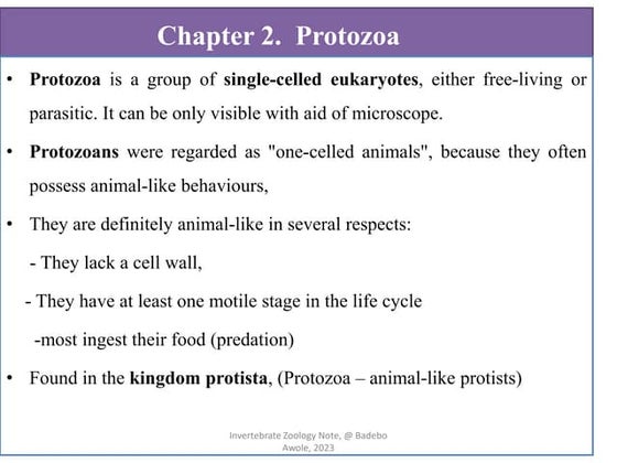 Protozoa | PPTX