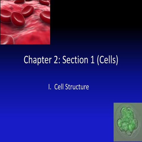 Chapter 2 section 1 (2011) | PPT