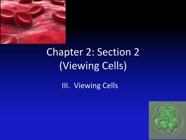 Preparing a cheek cell slide | PPTX