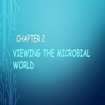 Chapter 2 Viewing The Microbial World Pdf