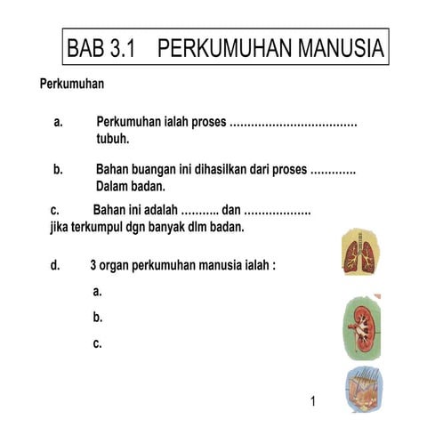 Chapter 3.1 human excretion revised 2010-nota pelajar | PPT