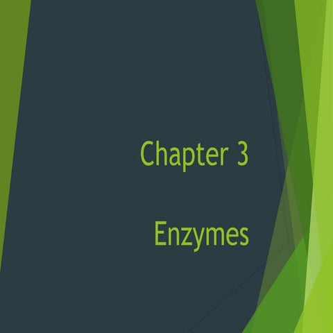 Chapter 3 | PPTX