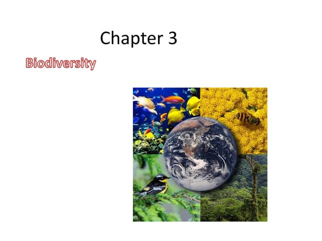 BIOLOGY SBA (LAB) | DOCX