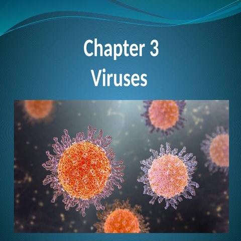 Chapter 3.. Viruses.pptx pharmD 2nd proff notes | PPT