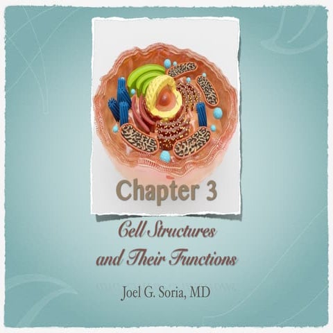 Chapter 3 cell | PPT
