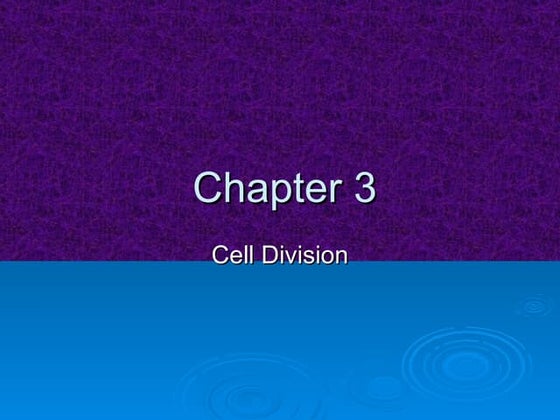 Lesson in science mitosis | PDF