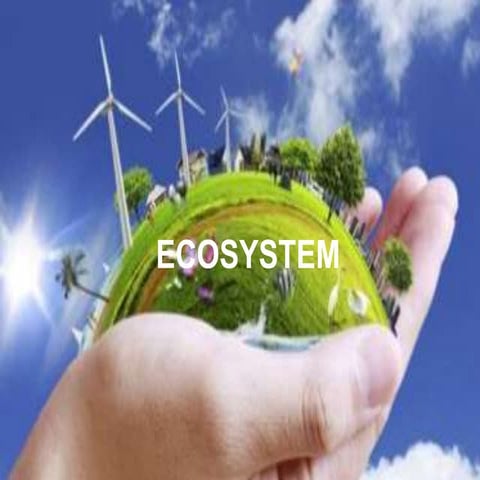 Chapter 3 - Ecosystem _ Biodiversity.ppt | Science